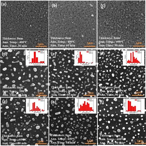 fe sem micrographs of 5 nm thick au film annealed for different time