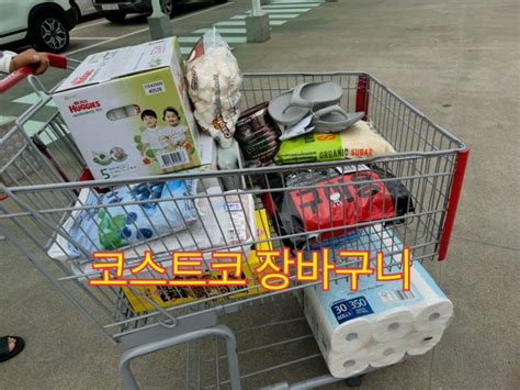 코스트코 할인상품 장보기 장바구니 네이버 블로그