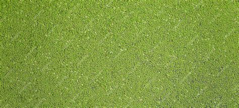 Premium Photo Beautiful Textured Plants Suface