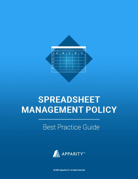 Best Practice Spreadsheet Policy Guide Apparity