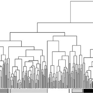 UPGMA Dissimilarity Dendrogram Showing Clustering Relationship Of All