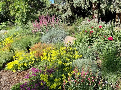 Gardening Classes And Workshops