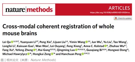 挑战人脑 终极疆域”！中国科学家联合研发跨模态脑配准技术mbrainaligner，助力脑图谱构建和单细胞精度全脑映射 智源社区