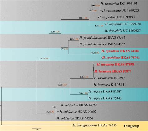 The Phylogenetic Tree Obtained By Raxml Analysis Of Its Sequence Data