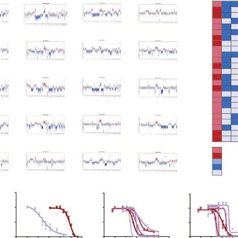 Human Molecular Gbm Characteristics Are Represented In Cell Culture