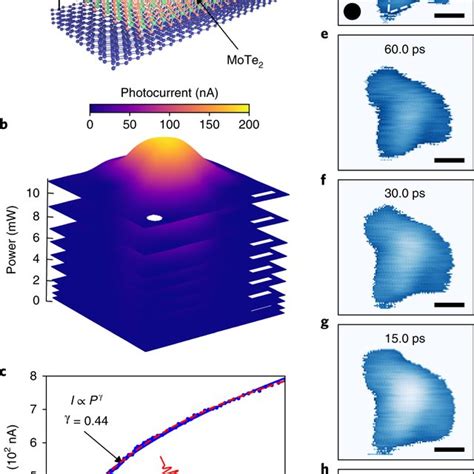 Multi Parameter Dynamic Photoresponse Microscopy Mpdpm Of Ultrathin Download Scientific