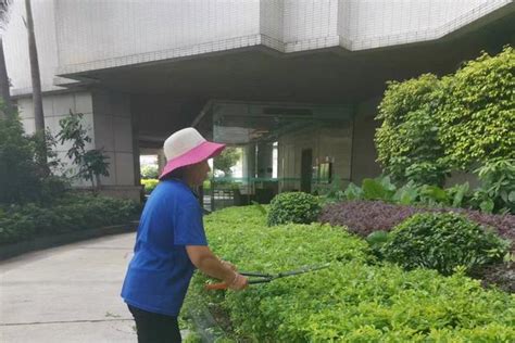 夏季小区绿化大整治讲讲广州逸翠湾小区6月份的绿化养护工作安排 知乎