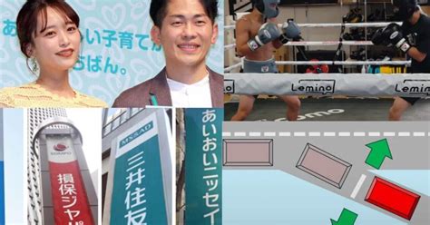 3分で読める本日の注目ニュース（2024年8月27日）： 経済、芸能、スポーツ、話題｜山本太一tastygerbil719