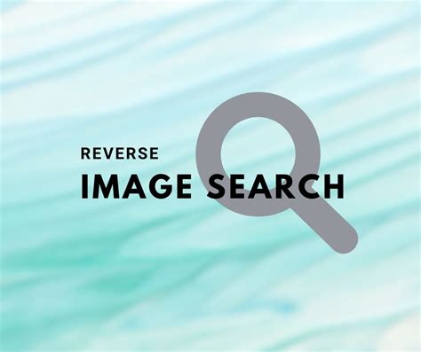 Reverse Image Search