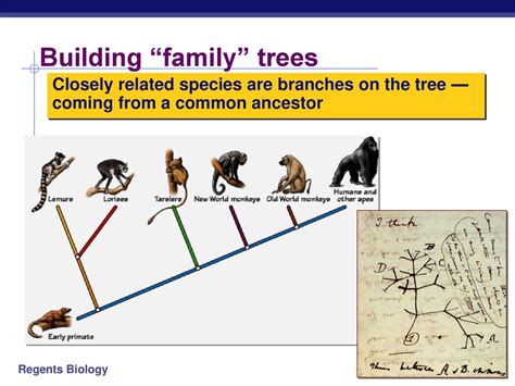 but don t be fooled by these… ppt download