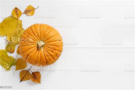 초라한 흰색 판 나무 배경에 노란색 호박과 단단 노란색 잎의 최고 보기 가을 가을 할로윈 개념 추세 그림자 복사 공간 플랫레이