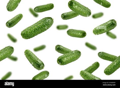 Falling Cucumber Isolated On White Background Selective Focus Stock