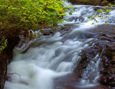Wallpaper Wet Water Leaves Stone Creek Canon Long Exposure