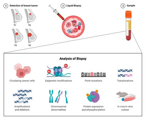 Cancers Free Full Text From Immunohistochemistry To New Digital