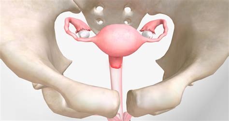 Premium Photo Chlamydia Is A Sexually Transmitted Infection Caused By