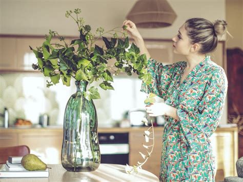 Cuáles son las plantas que ayudan a sacar los malos olores de la casa Mia FM