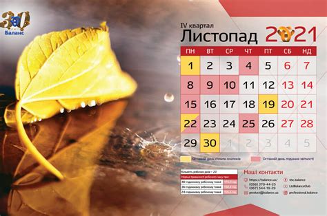 Барвисті шпалери на робочий стіл на листопад 2021 року