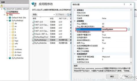 Core Webapi部署iis过程详解，以及坑点介绍和解决坑点方法 小欢的专栏 Tnblog