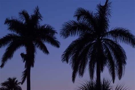 Significado del nombre Valentina María