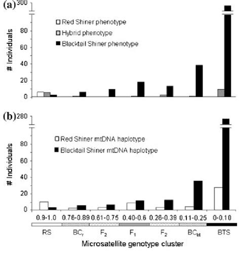 Individual Based Comparison Of A Phenotype To Microsatellite