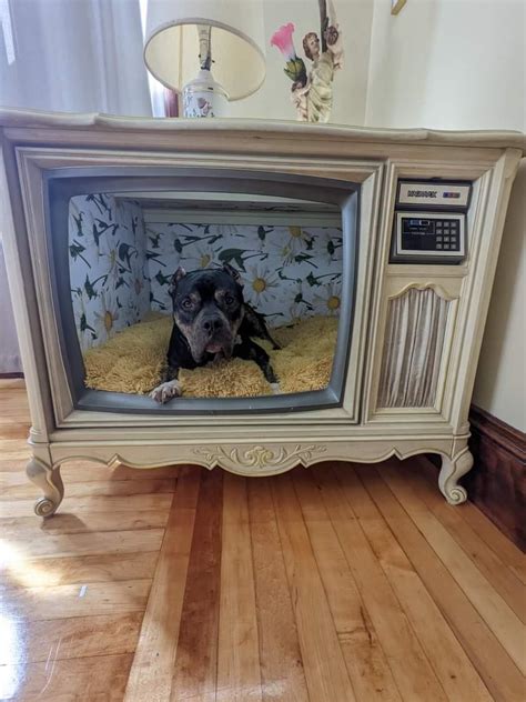 My Favorite Tv Show Rrarepuppers