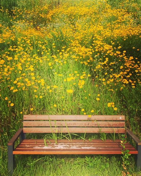 아침 출근길 한얼 Hanul Sungwon Kim Flickr