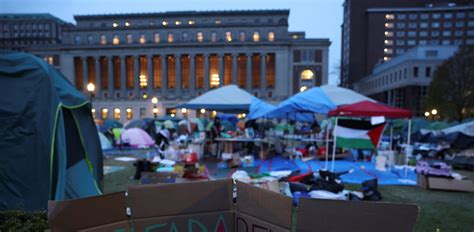 הקמפוסים בארהב רותחים ובישראל חוששים מגל חרמות גלובס