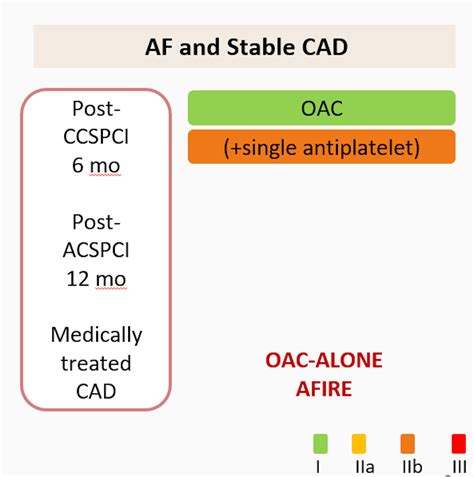 曹承榮 Esc 2024 精選 Epic Cad：專家意見再次獲得證實，af Ccs 單用 Doac 安全有效