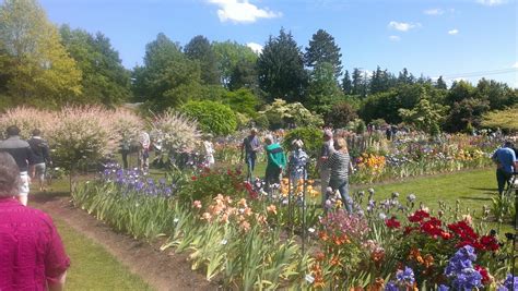 Iris Festival Walk Keizer Or Willamettte Wanderers Walking Club