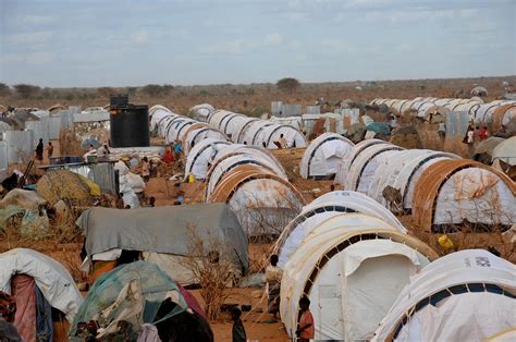 世界難民の日、その目的・歴史・由来を徹底解説！ 難民問題に対する世界の取り組みや私たちにできることとは？ Hugkum（はぐくむ）