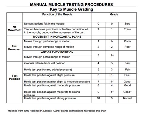 Manual Muscle Testing Grading Chart Florence Kendall Muscle Testing Manual Muscle Testing