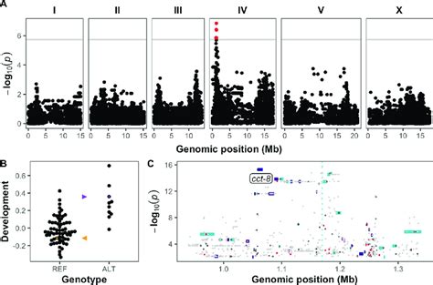 A Genome Wide Association Mapping Results For Median Normalized