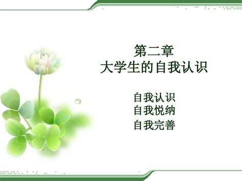 第二章大学生的自我认识ppt2009bbword文档在线阅读与下载无忧文档