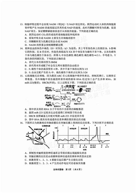 2025浙江金丽衢十二校高三12月联考生物试题及参考答案 高考直通车