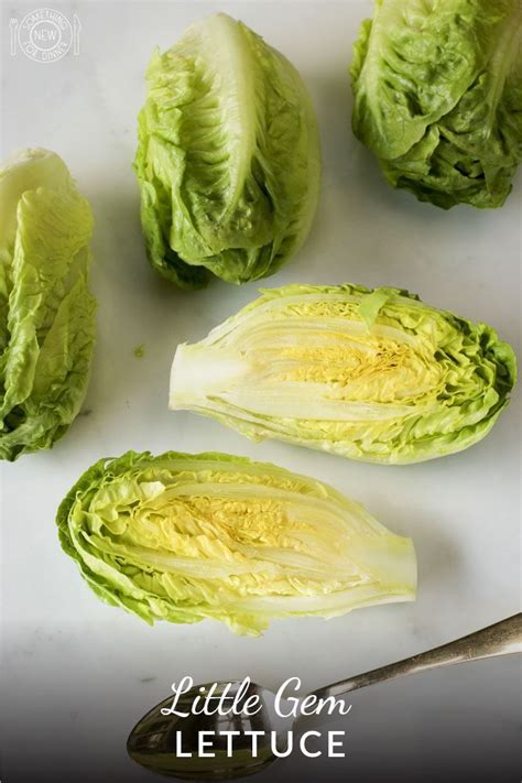 Little Gem Lettuce Artofit