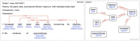【代码】radgraph Extracting Clinical Entities And Relations From Radiology