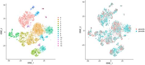 10x单细胞转录组分析方案大放送 知乎