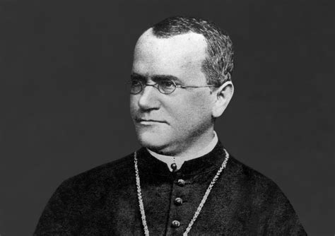 Cientistas Exumaram O Pai Da Genética Gregor Mendel E Analisaram Seu