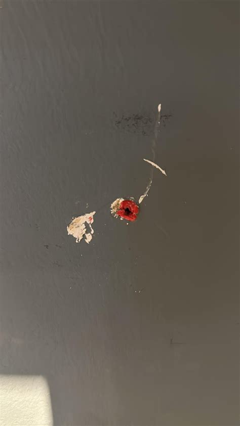 Having Trouble Removing Drywall Anchors Rdiyuk