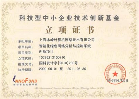 企业资质上海冰峰网络技术有限公司