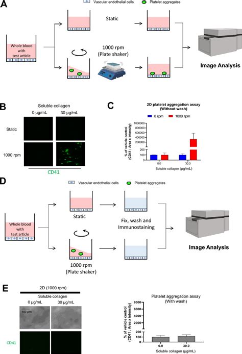 Physiological Platelet Aggregation Assay To Mitigate Drug Induced Thrombocytopenia Using A