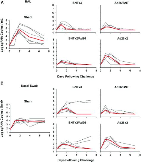 Viral Loads Following Sars Cov 2 Omicron Challenge A Log Subgenomic