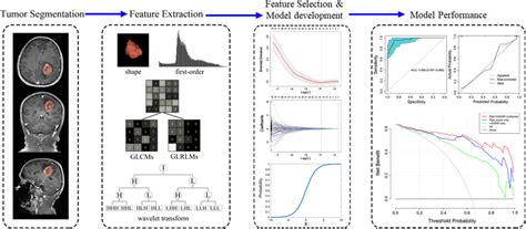 Workflow For The Method Section Firstly Tumor Segmentation Was