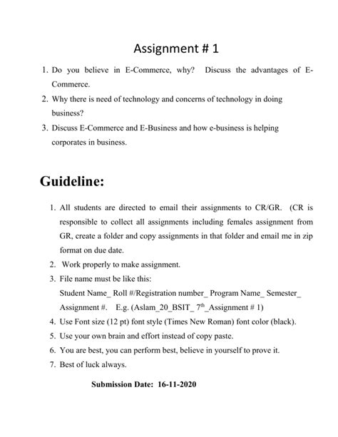 E Commerce And E Business Assignment