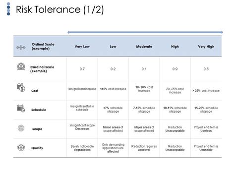 Risk Tolerance Template 1 Ppt Powerpoint Presentation Ideas Layouts