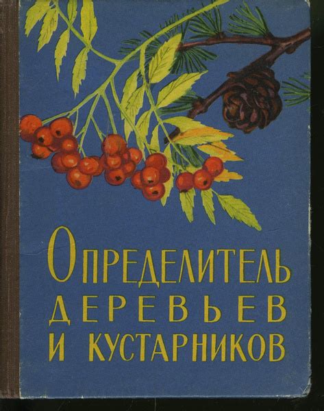 Определитель деревьев и кустарников | Лантратова Антонина Степановна ...