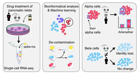 Single Cell Rna Seq Developed To Accurately Q Eurekalert