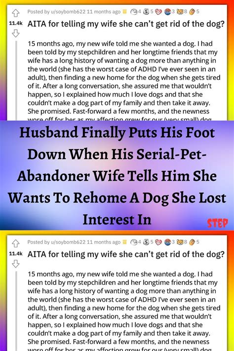 Husband Finally Puts His Foot Down When His Serial Pet Abandoner Wife