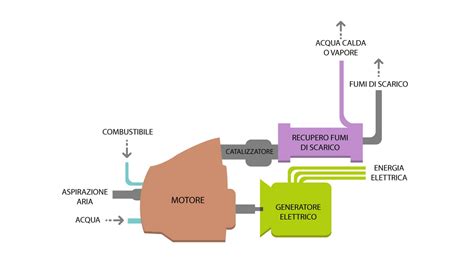 Centrale A Biomasse Ed Economia Circolare Nulla Si Crea E Nulla Si