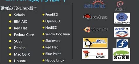 软件包管理以及shell命令 Csdn博客